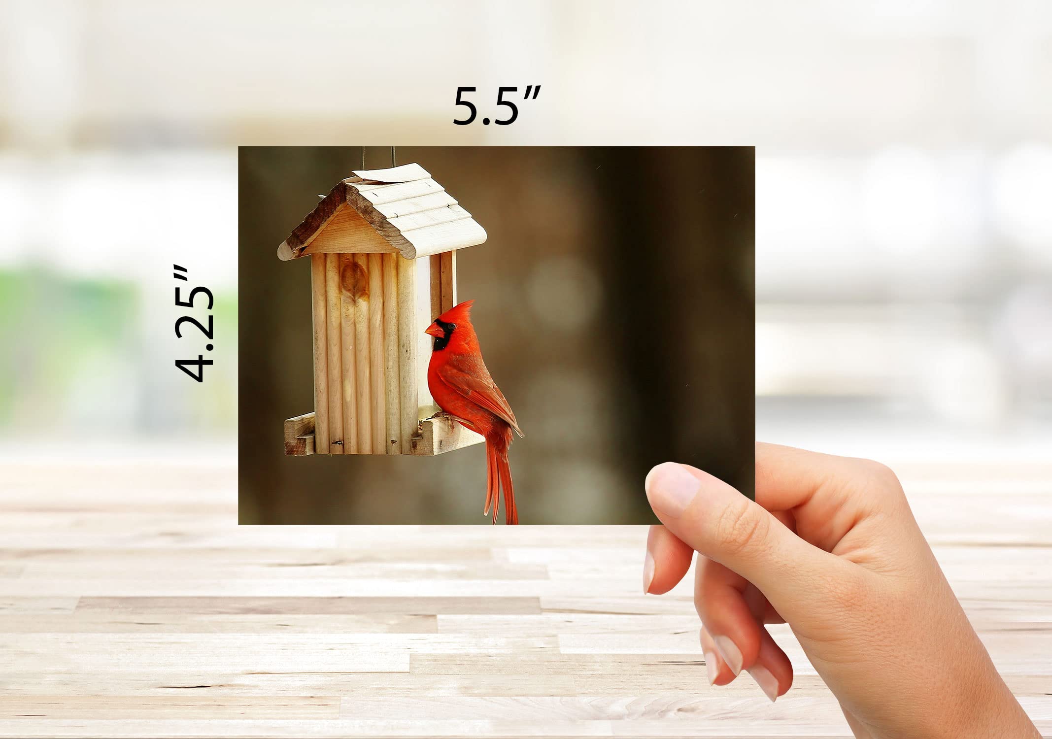 Small World Greetings Song Bird Note Cards With Identification Card 12 Count-Blank Inside with White Envelopes-A2 Size 5.5" x 4.25"-Bird Stationery-All Occasion-Birthday, Thank You, and More
