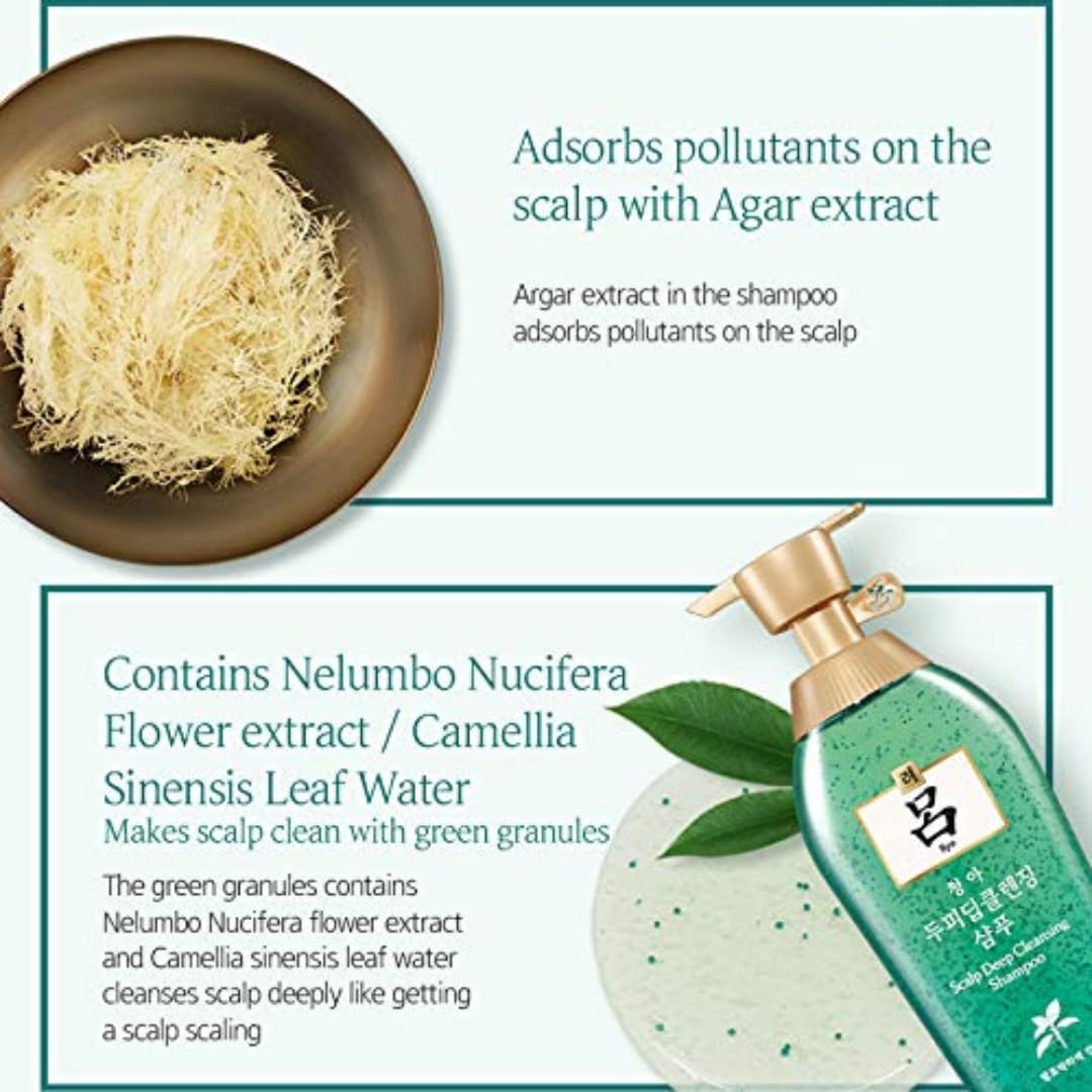 Ryo Scalp Deep Cleansing & Cooling Shampoo 500ml (16.9oz) Excess sebum care, Shampoo for smelly scalp, Fermented mint and other natural ingredients, Anti- Dandruff treatment