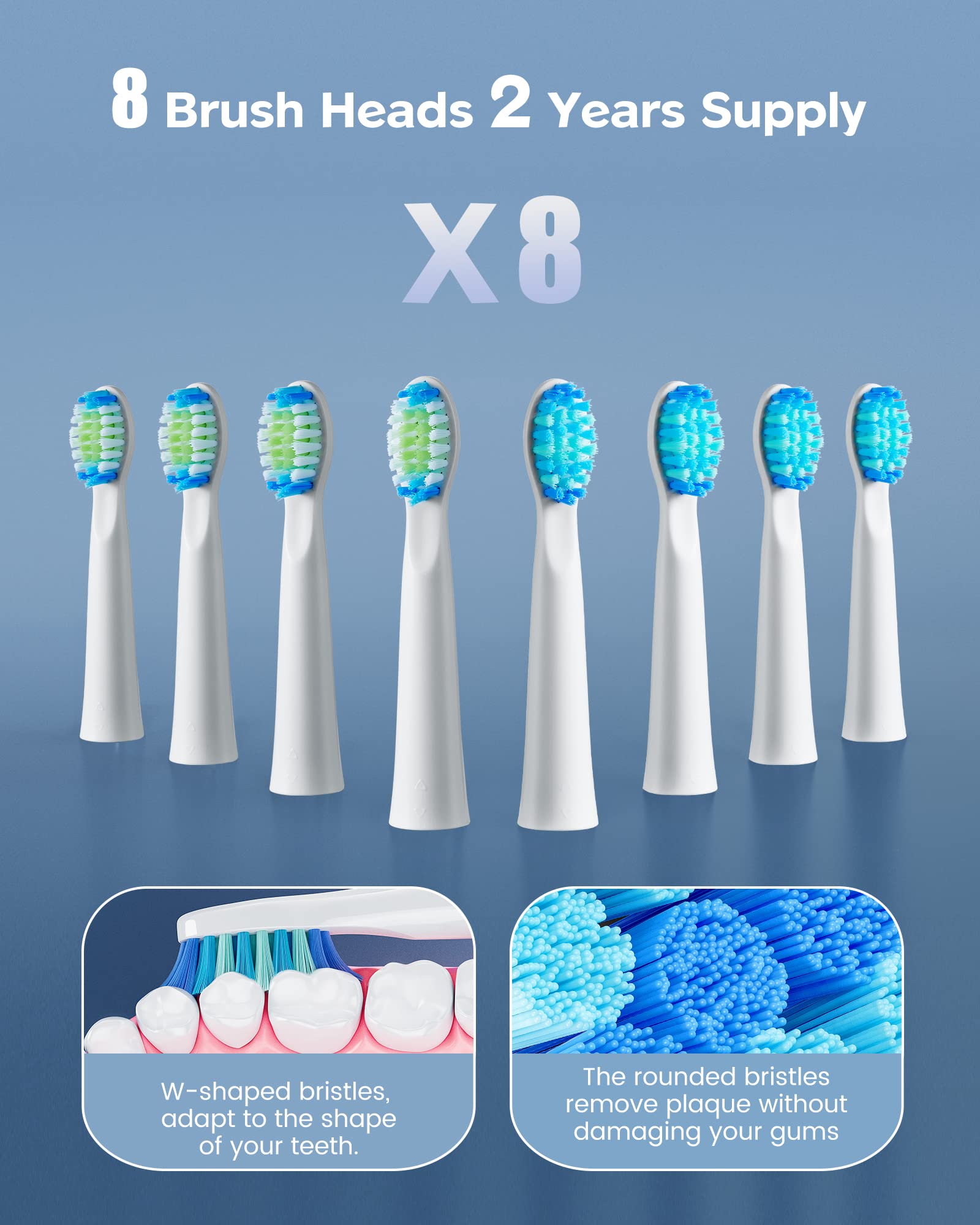 Bitvae Sonic Electric Toothbrush Electronic Toothbrush for Adults with 8 &4 Brush Heads, Travel Rechargeable Power Toothrush for 30 Days Using, Ultrasonic Toothbrush with 5 Modes and Timer (White)