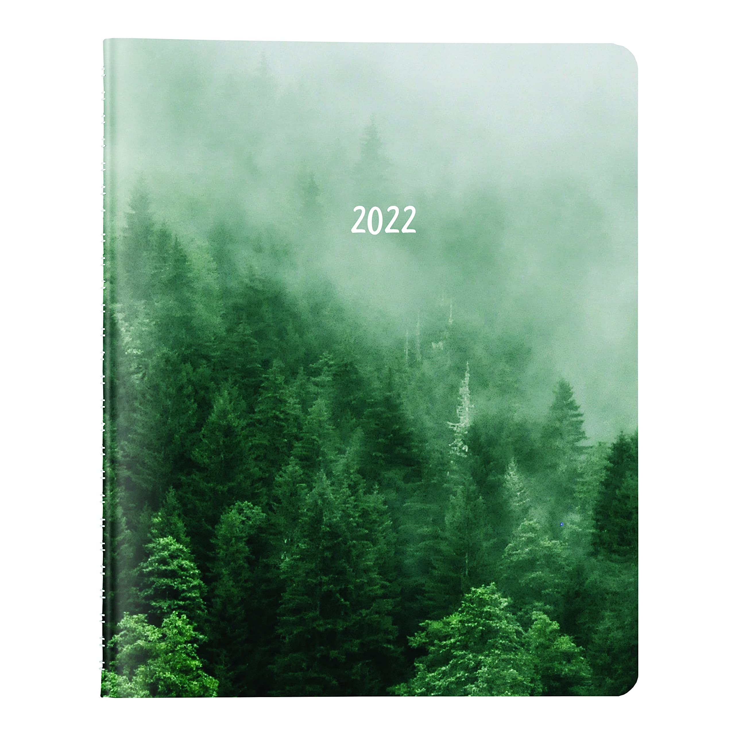 Brownline 2022 Essential Monthly Planner, 14 Months, December 2021 to January 2023, Twin-Wire Binding, 8.875" x 7.125", Mountain Green (CB1200G.03-22)