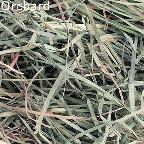 Small Pet Select-Sampler Box, 2ND Cutting, 3RD Cutting Timothy Hay, Oat Hay, & Orchard Hay
