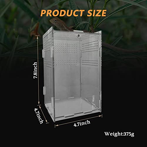 JOBEDE Acrylic Reptile Terrarium, Transparent Reptile Tank Habitat Terrariums Mini Enclosure Feeding Breeding Box with Cover for Tarantula Isopod Roach InvertebratesGecko Frog (5“x5”x8“)