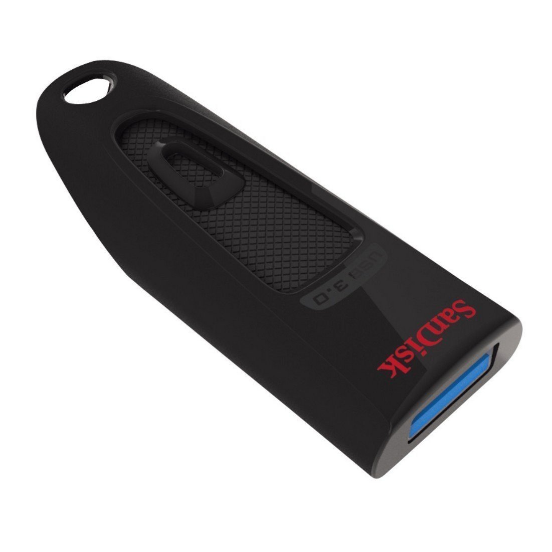 SanDisk Ultra USB (10 Pack) 3.0 32GB CZ48 Flash Drive High Performance Jump Drive/Thumb Drive/Pen Drive up to 100MB/s - Bundle with (5) Everything But Stromboli Lanyard