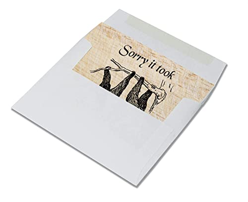 Small World Greetings Sorry It Took So Long Sloth Greeting Card 12 Count - Blank Inside with Envelopes - A2 Size (5.5"x4.25") - Belated Birthday, Late Shipment, Apology, Belated Thank You
