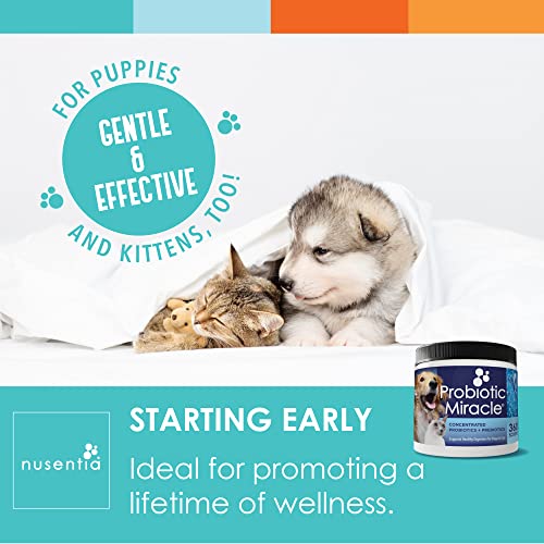 NUSENTIA Probiotics for Dogs -(360 Scoops)-Probiotic Miracle -Advanced, Species Specific Probiotics and Prebiotics to Stop Diarrhea, Loose Stool, and Yeast-Plus Immune Support