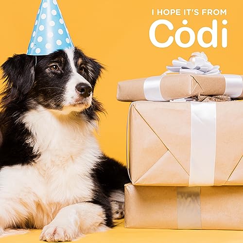 Codi Dog Chew Toys - Funny Puzzle Interactive Puppy Dog Toys, Tough Durable Teething Rubber Dog Toys for Small Medium Dogs (Avocado)