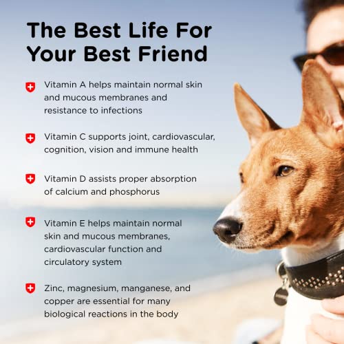 Nutri-Vet Adult-Vite Plus Soft Chews for Dogs |Formulated with Vitamins and Minerals | Supports Everyday Health | 70 Count