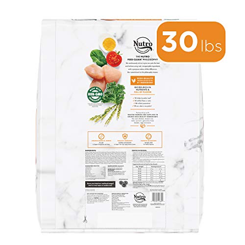 NUTRO NATURAL CHOICE Senior Dry Dog Food, Chicken & Brown Rice Recipe Dog Kibble, 30 lb. Bag
