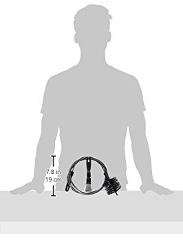 Brushtech B67C Pellet Stove Cleaning Kit, Black