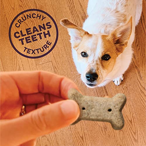 Old Mother Hubbard by Wellness Classic P-Nuttier Natural Dog Treats, Crunchy Oven-Baked Biscuits, Ideal for Training, Small Size, 20 ounce bag