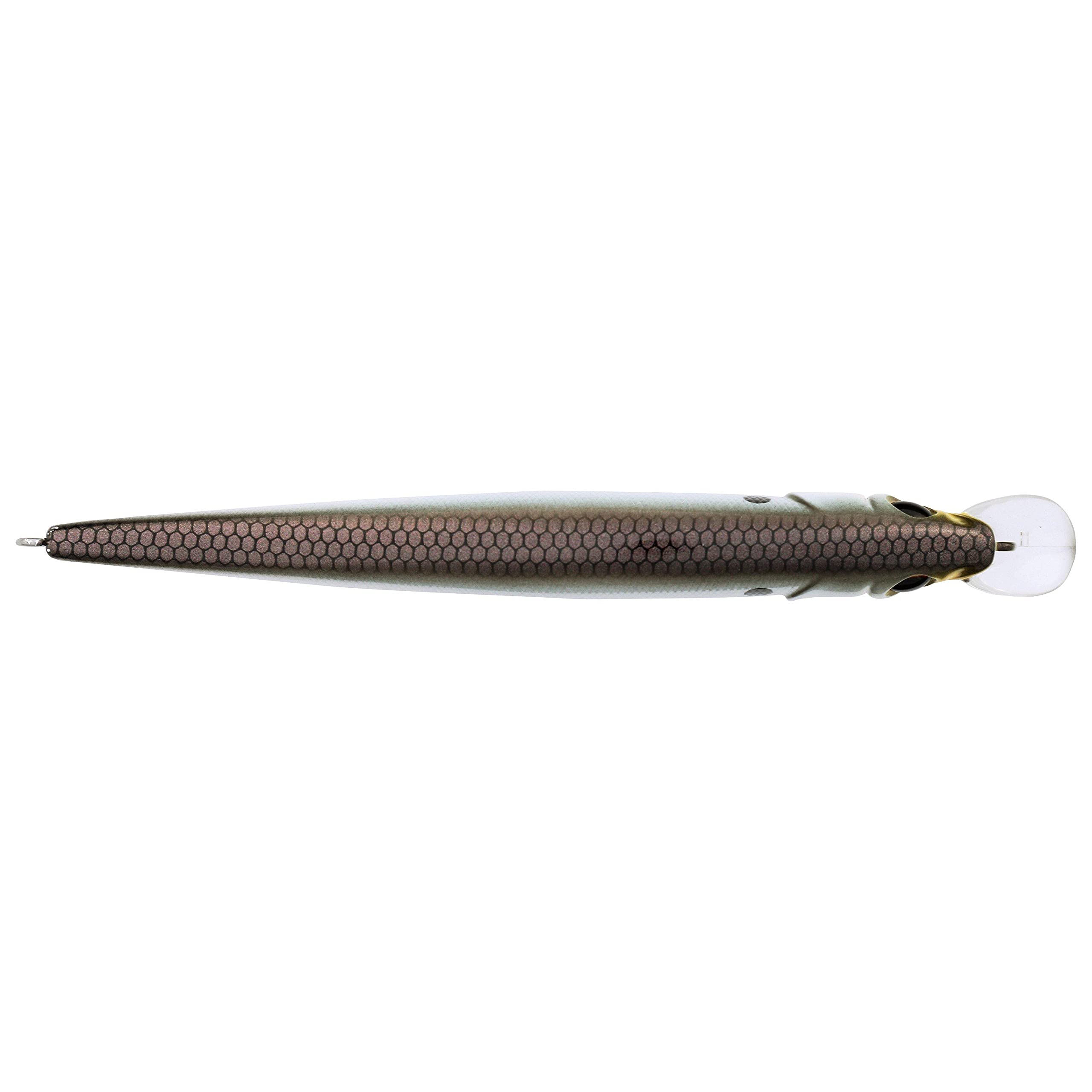 Berkley Stunna Fishing Hard Bait