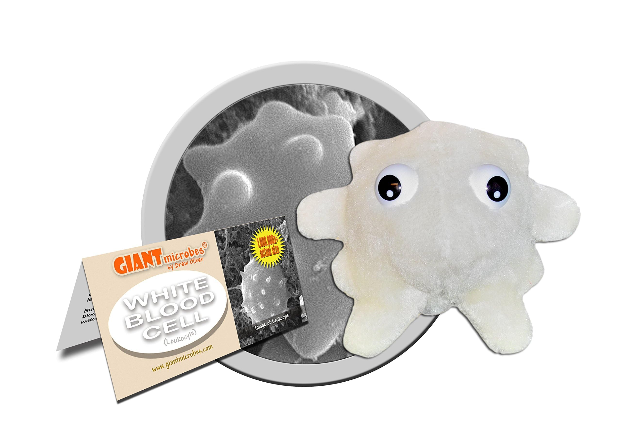 GIANTmicrobes White Blood Cell Plush, Blood Bank Laboratory Gifts, Lab Tech Gifts,Hematology Gifts, Leukemia Gifts,Phlebotomy