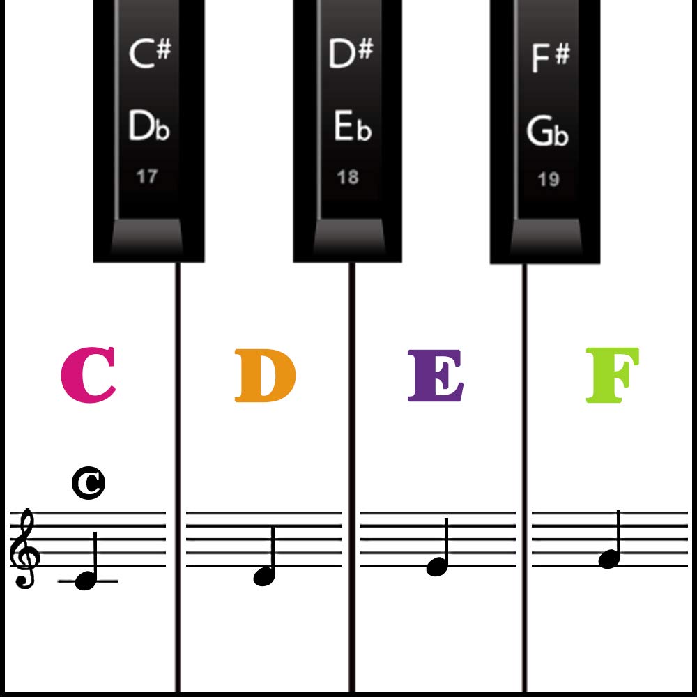 MUYOS Piano Keyboard Stickers for 88/61/ 54/49 Key,Colorful Transparent Removable for Kids Beginners (Mix Color)