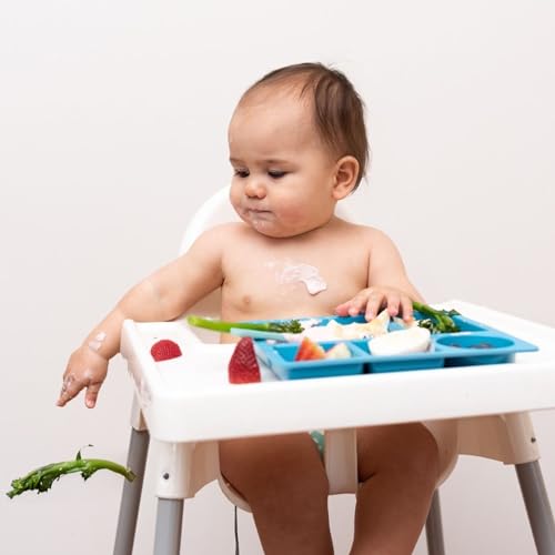 bobo&boo Bamboo Kids Divided Bento Plate, Sectioned Toddler Plate, Childrenās Compartment Plates, 5 Portioned Sections, Mix and Match, Dolphin Blue