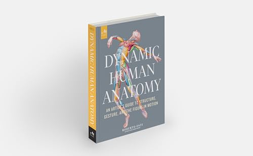 Dynamic Human Anatomy: An Artist's Guide to Structure, Gesture, and the Figure in Motion