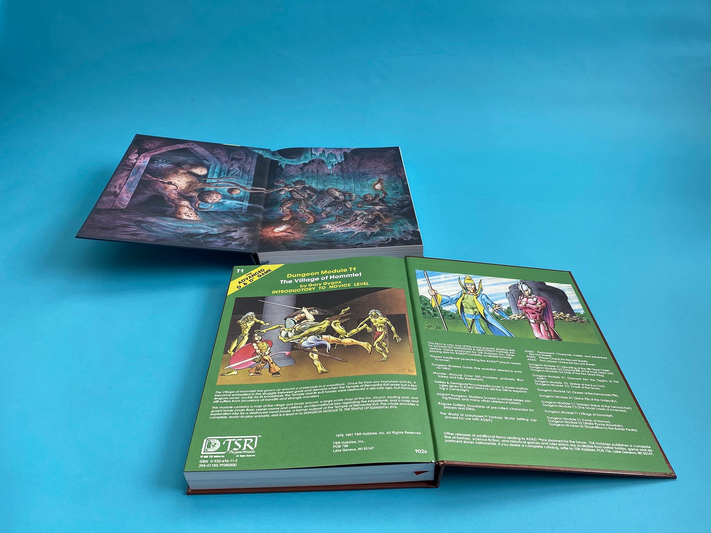 Goodman Games: Original Adventures Reincarnated #6: The Temple of Elemental Evil, Fully Playable Mega-Dungeon and Mini-Campaign