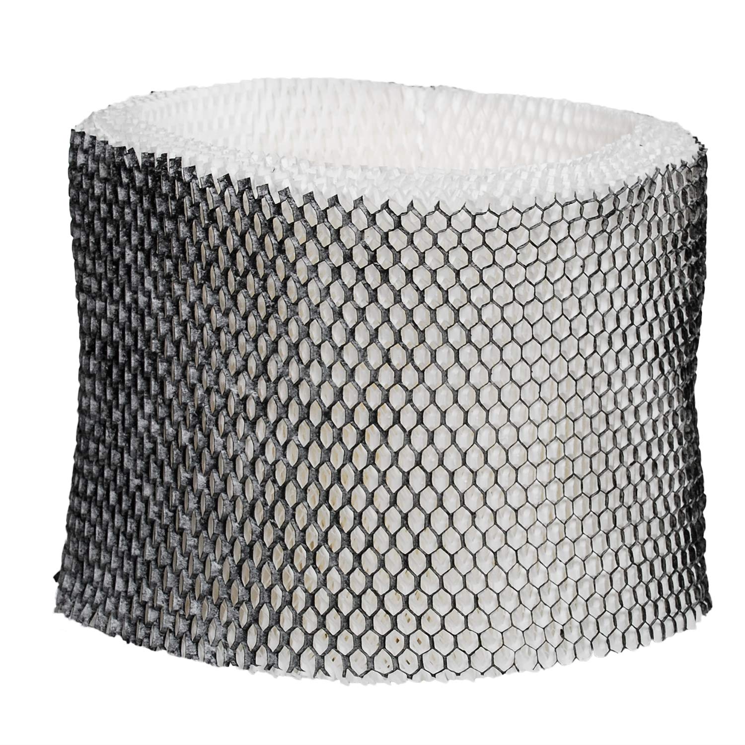 HIFROM Replacement Wick Humidifier Filter Compatible with Holmes HM3500, HM3501, HM3600, HM3608, HM3640, HM3641, HM3650, HM3655, HM3655BF, HM3656 replace HWF75 HWF75CS HWF75PDQ-U - Filter D (2 Pcs)