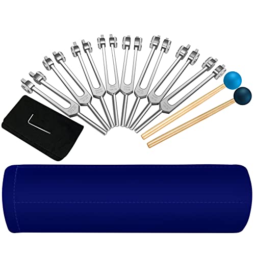 Lrowvenu Chakra Tuning Forks Set, 7 Chakra and 1 Soul Purpose Weighted Tuning Forks for Cosmic Octave, Aluminum Alloy, Sound Healing Instruments, Silver by Lrowvenu