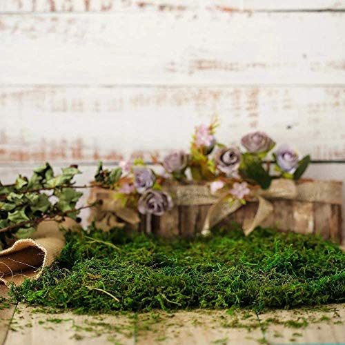 Farmoo Fake Moss for Crafts, Artificial Green Moss for Potted Plants Centerpieces Decor (3.5OZ)