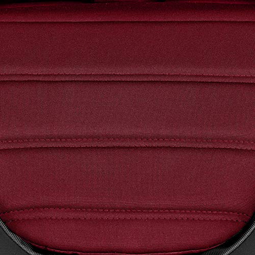 Baby Jogger City Mini GT2 Stroller, Ember