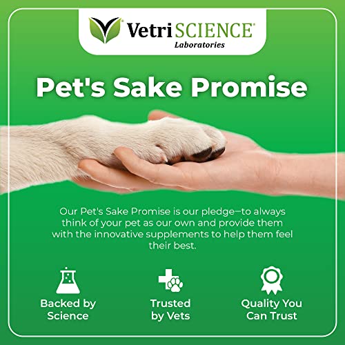 VetriScience Derma Strength Healthy Skin and Coat Chews with Omega 3, 6 and 9 for Dogs, 70 Chews - Can Reduce Shedding and Support Skin Health