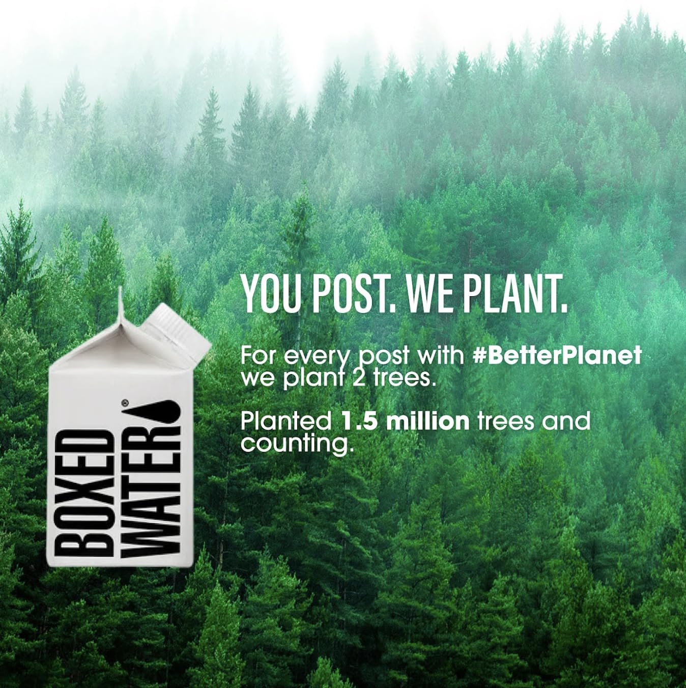 Boxed Water 8.5 oz. (24 Pack) β Purified Drinking Water in 92% Plant-Based Boxes, 100% Recyclable, BPA-Free, Refillable Cartons, Sustainable Alternative to Plastic Bottled Water, Mini Water for Kids