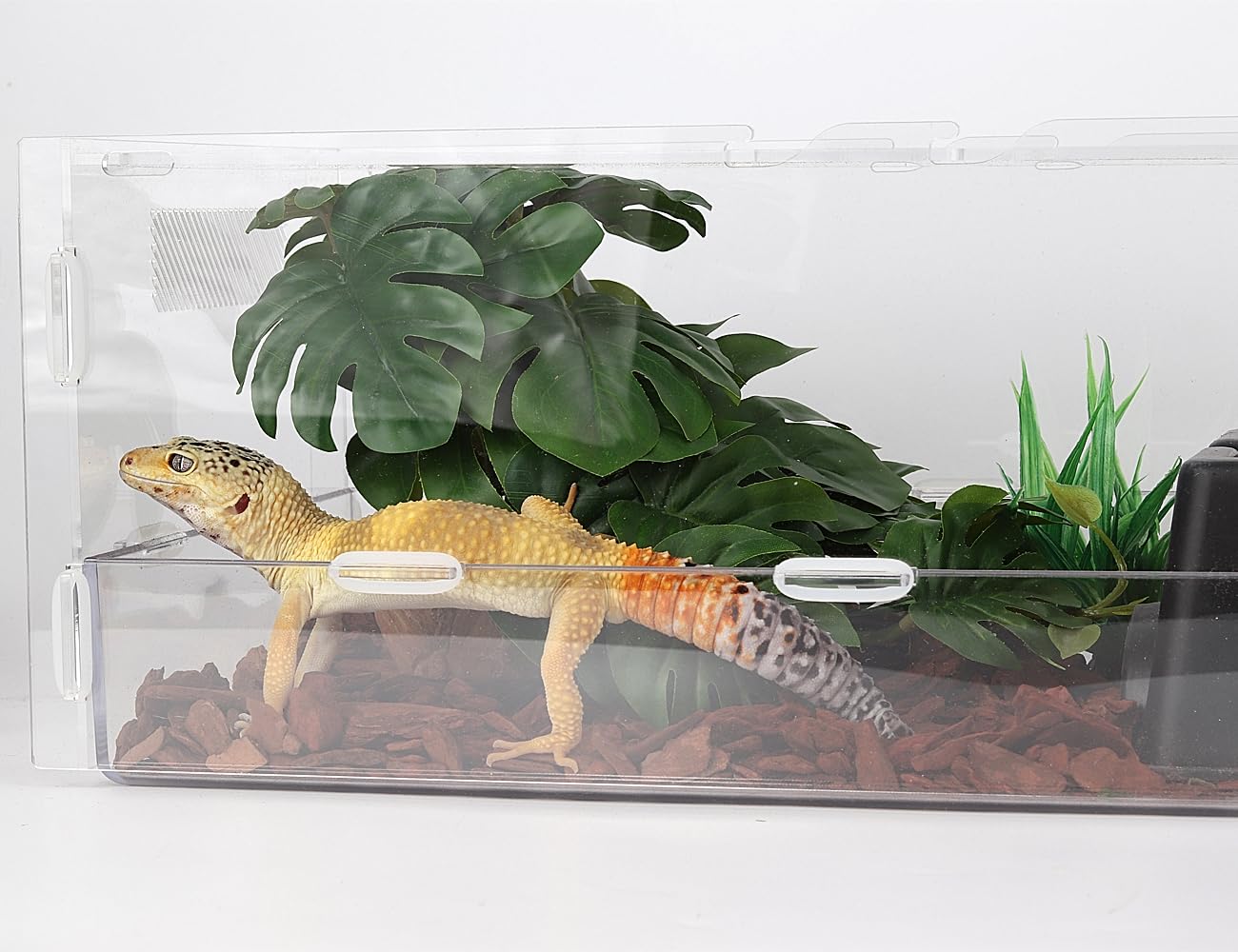 WOLEDOE Reptile Plants for Terrarium, Ball Python Tank Decor Accessories fit Bearded Dragon Crested Leopard Gecko Lizard Chameleon Snake Frog Tortoise Hermit Crab - Fake Monstera