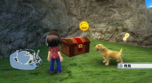Go Vacation - Nintendo Wii (Renewed)
