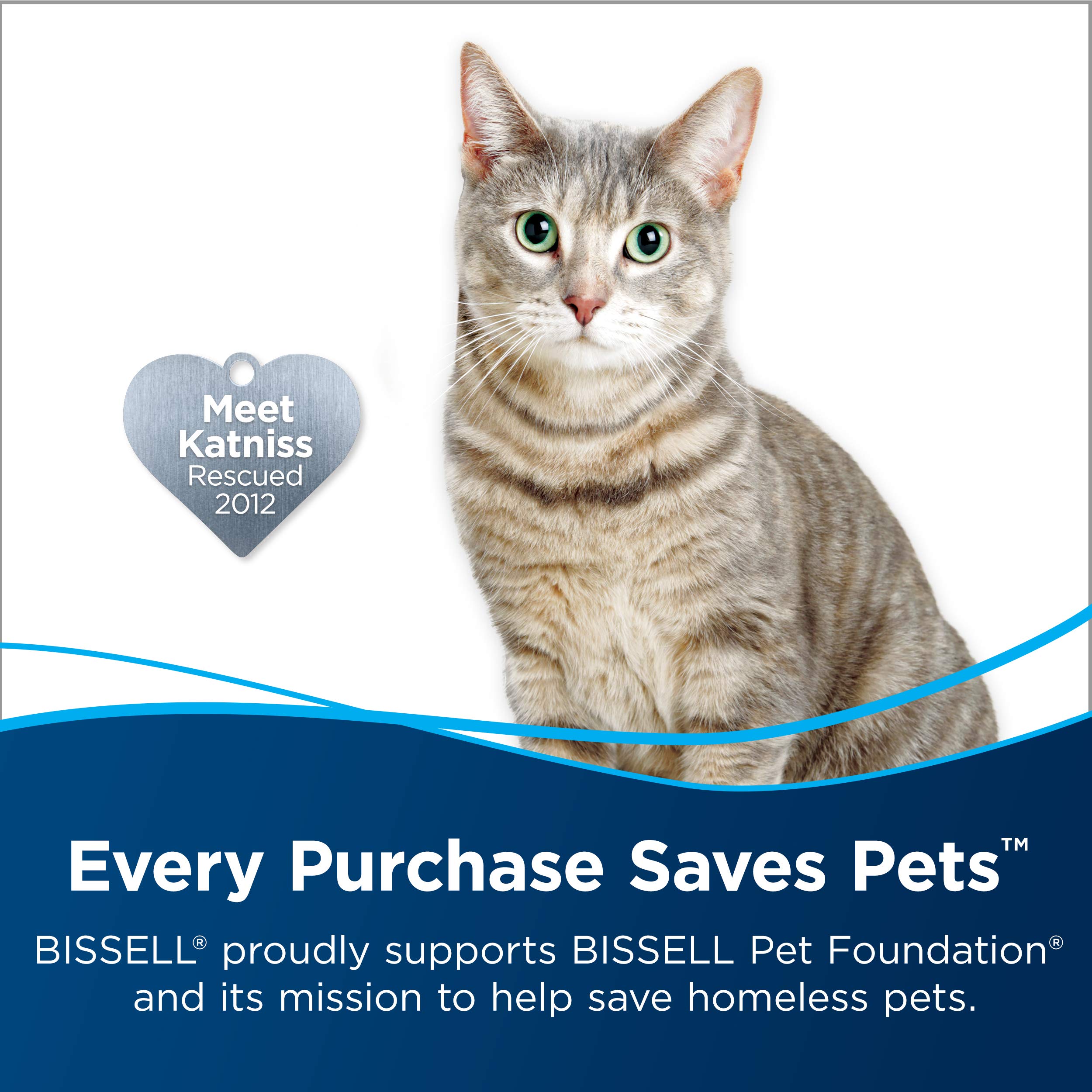BISSELL ProHeat 2X Revolution Pet Full Size Upright Carpet Cleaner, 15489, Blue