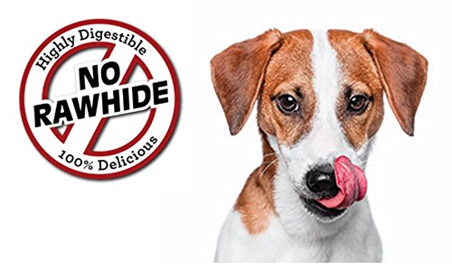 SmartBones DoubleTime Chews 16 Count, Mini, Rawhide-Free Chews For Dogs With Long-Lasting Chew Center