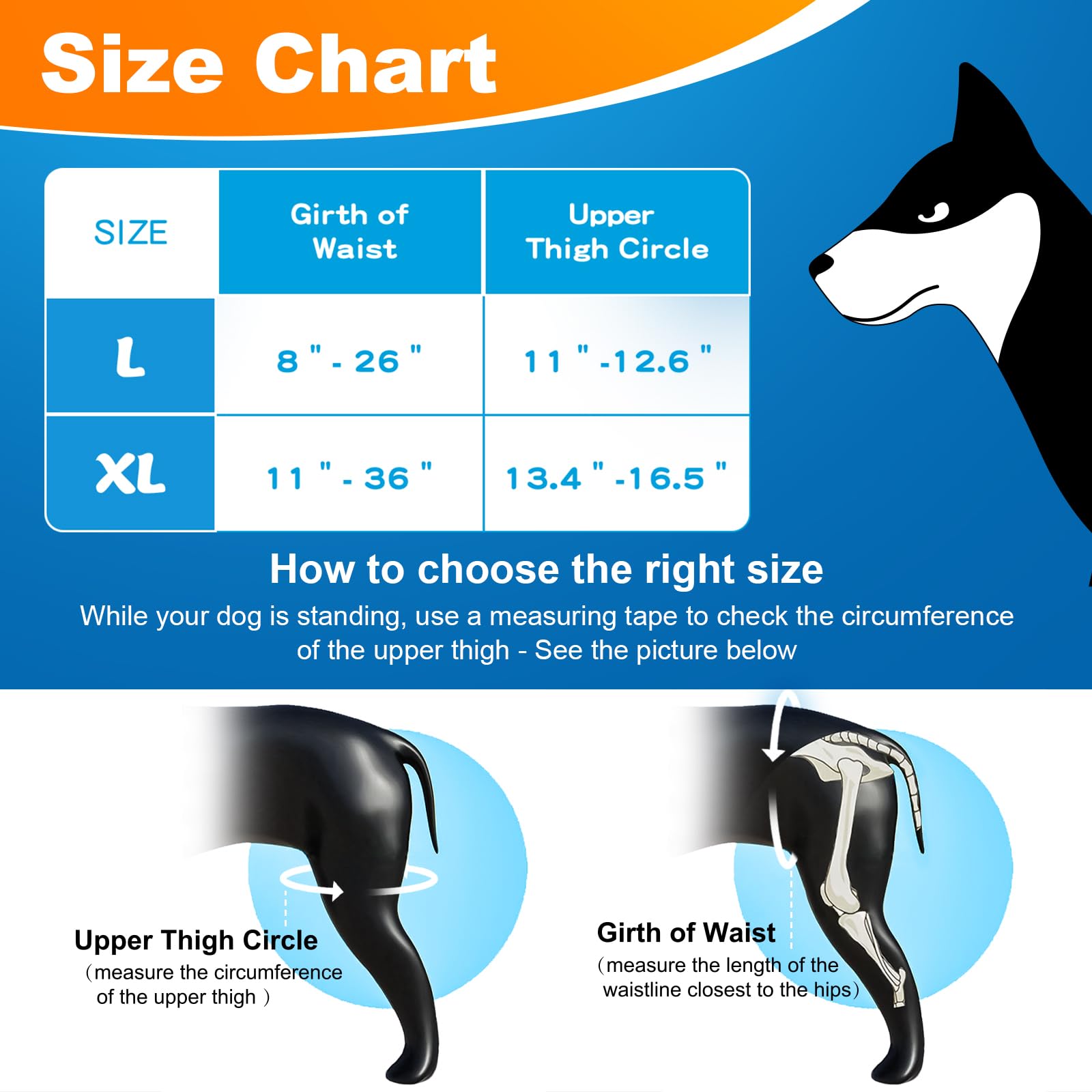 CHAMIN/RISURRY Adjustable Dog Knee Brace with Extra Collar, Support for Torn Acl Hind Leg, Tear Ligament, Osteoarthritis,Rear Leg Limp, Recovery After Surgery,et(Left Leg,L)