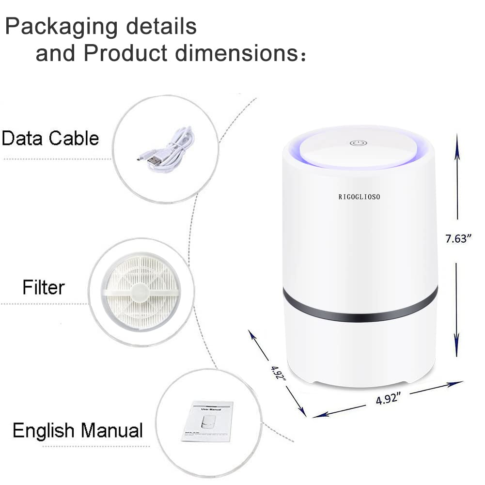 RIGOGLIOSO Portable Air Purifier,Air lonizer,USB Air Cleaner, True Hepa Homes Air Purifier Replacement Filter, Models GL2103/SY900S Filter