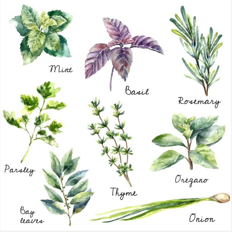 Herb Wall Decals Peel and Stick,Herb Wall Stickers,Herb Wall Art Decor for Kitchen, Kitchen Cabinet Decals,Kitchen Decals for Walls Peel and Stick,Kitchen Stickers for Wall