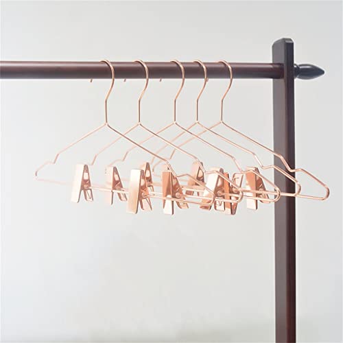 N/A 5pcs Metal Trouser Hanger for Trousers Socks & Skirts Hanging Rack Space-Saving Clothes Hangers Clothing Storage (Color : Gold)