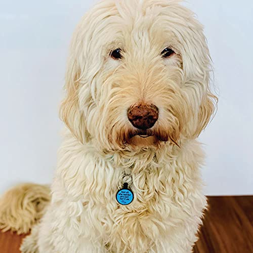 Love Your Pets Soundless ÒPearls of WisdomÓ Pet Tag - Deep Engraved Silicone Ð Double Sided & Engraving Will Last - Pet ID Tags, Dog Tags, Cat Tags