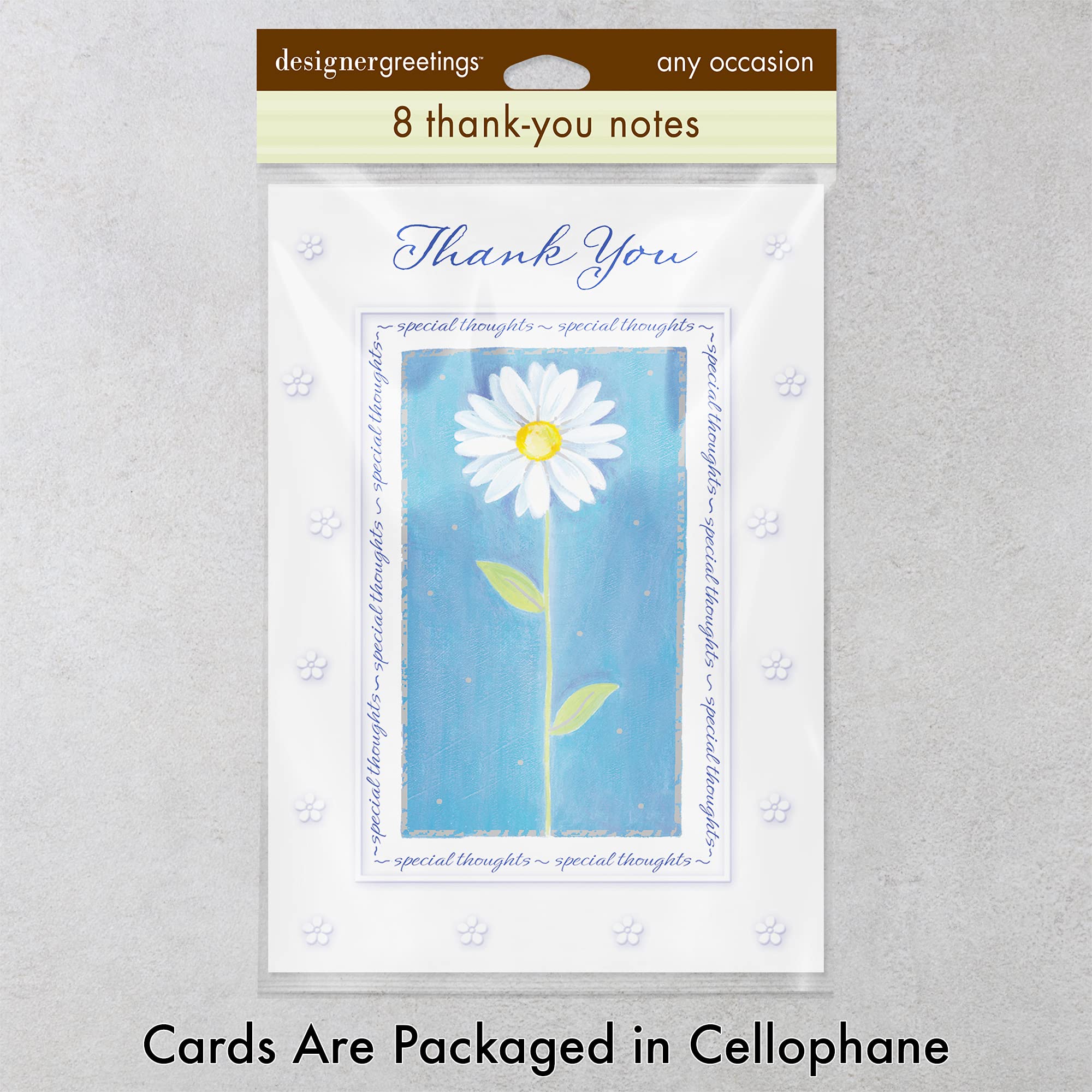 Designer Greetings Thank You Cards, Special Thoughts Meant So Much Message for Any Occasion (8 Daisy Thank-You Notes and Envelopes)