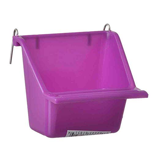 Living World Seed Cup with Perch, Medium, Assorted Colors