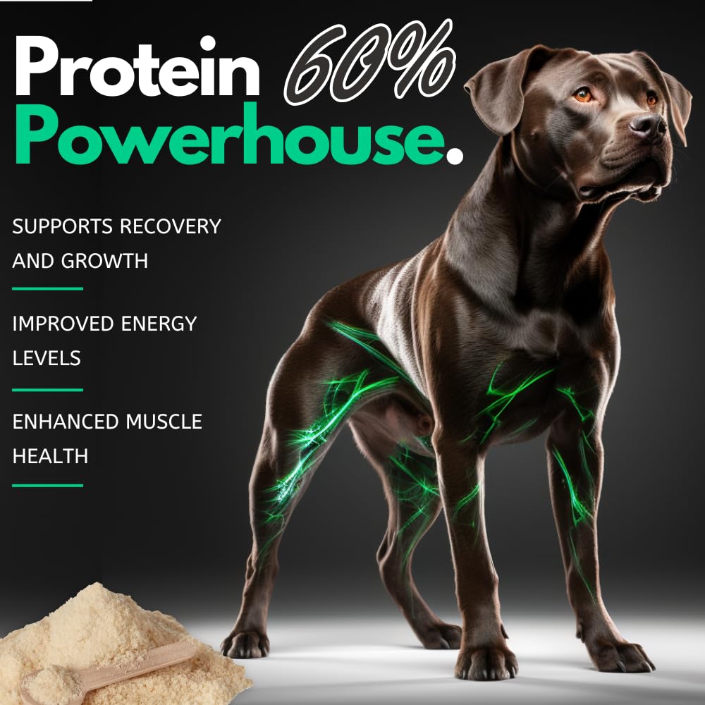COSMIC CHEWERS | Yak Cheese Dog Food Topper | Boost Dog Agility Training & Muscle Recovery | Protein Powder for Dogs | Calcium-Rich 9oz Saving Pack