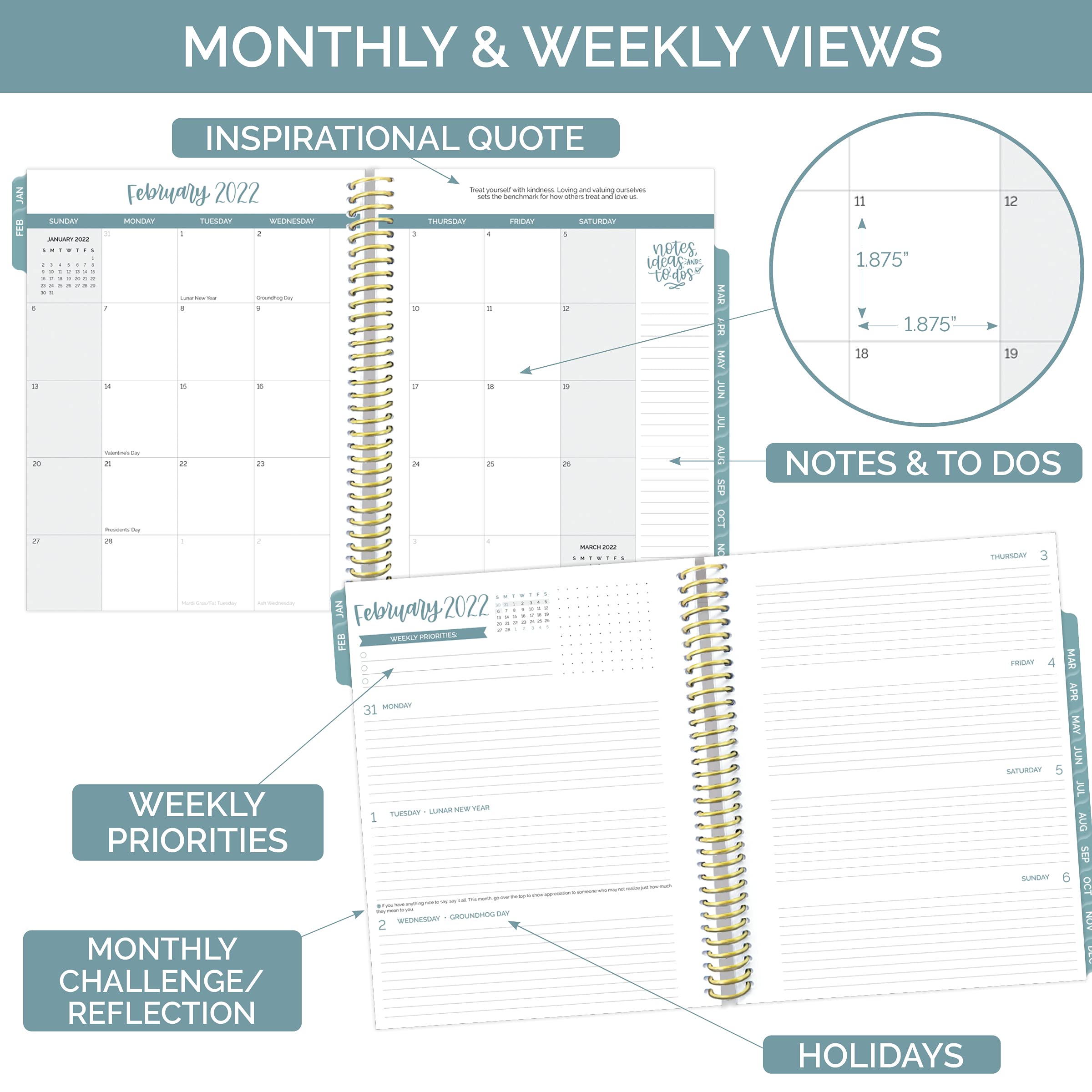 bloom daily planners 2022 (8.5" x 11") Calendar Year Day Planner (January 2022 - December 2022) - Weekly/Monthly Dated Agenda Organizer with Tabs - Daydream Believer