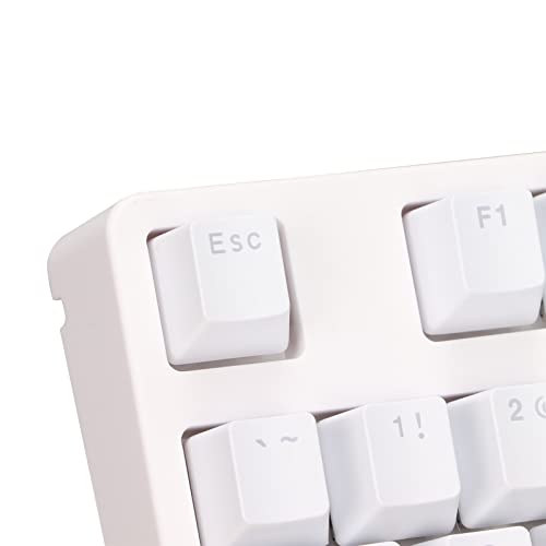 Wired Keyboard, Fashion Appearance 20 LED White Light Effects Mechanical Keyboard Ergonomic Design for Work for Home Gaming for Office(White)