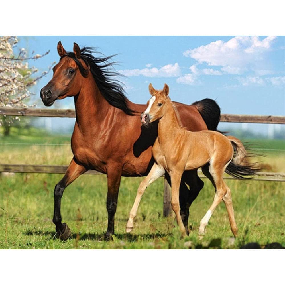 Piece Puzzle, Horse-5000piece Puzzles for Adults Puzzle Color Challenge Jigsaw Puzzles