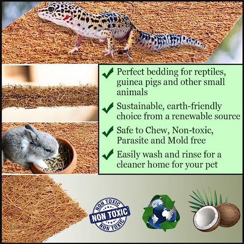 SunGrow Coco Fiber Hermit Crab & Reptile Carpet, Gecko Terrarium Liner, and Floor Bedding Substrate & Supplies, Climbing Wall Carpet & Mat for Hermit Crabs, 10" x 13", 1 Piece Per Pack