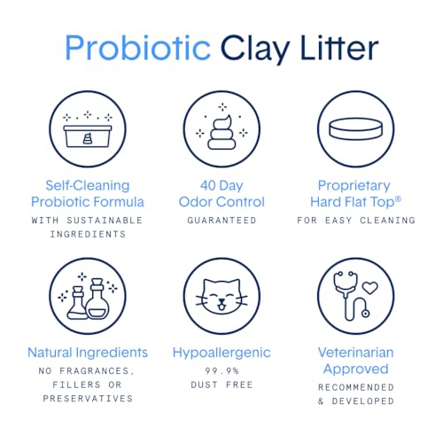 Boxie® Probiotic 40 Day Natural Odor Control Cat Litter, 16lb Clumping Clay Kitty Litter