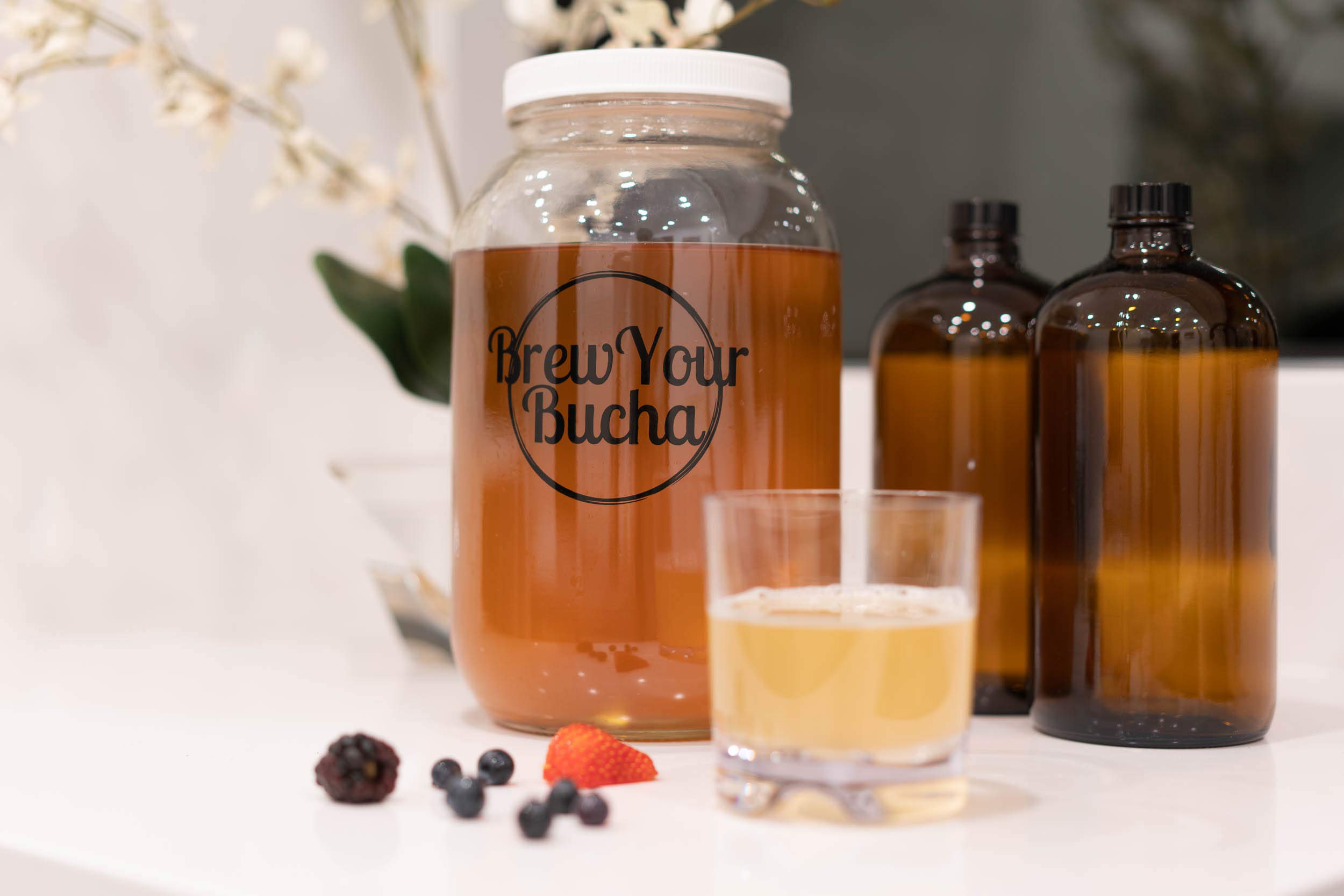 Brew Your Bucha Kombucha Tea SCOBY with Starter Fluid - Kombucha Starter Kit with Scoby, Live Culture, Scoby Kombucha Starter, Kombucha Kit, DIY Kombucha Brewing Kit, Scoby Kombucha Starter (1 Scoby)