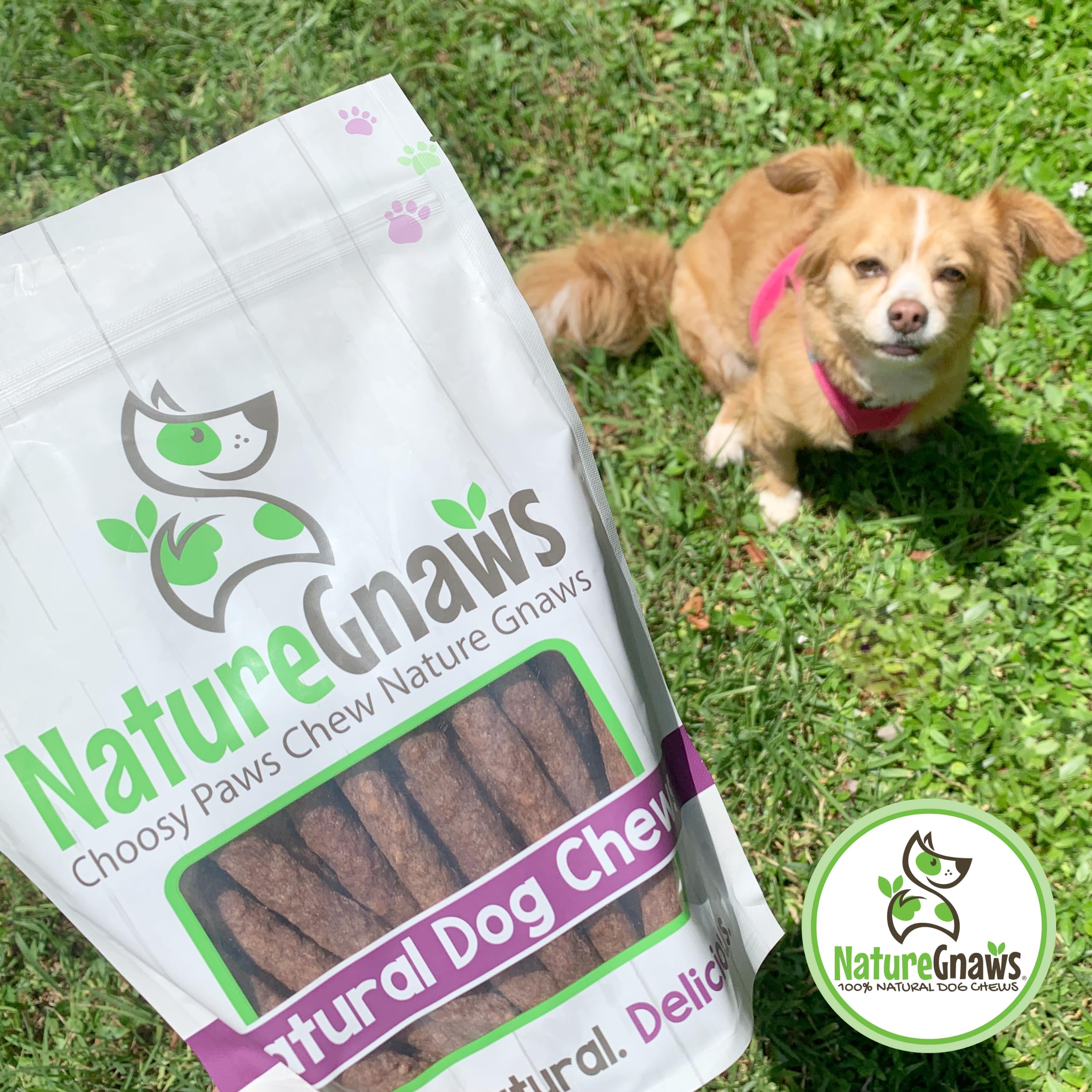 Nature Gnaws Beef Chew Sticks for Dogs 1LB - Premium Natural Dog Treats - Limited Ingredient Long Lasting Rawhide Free Dental Chews