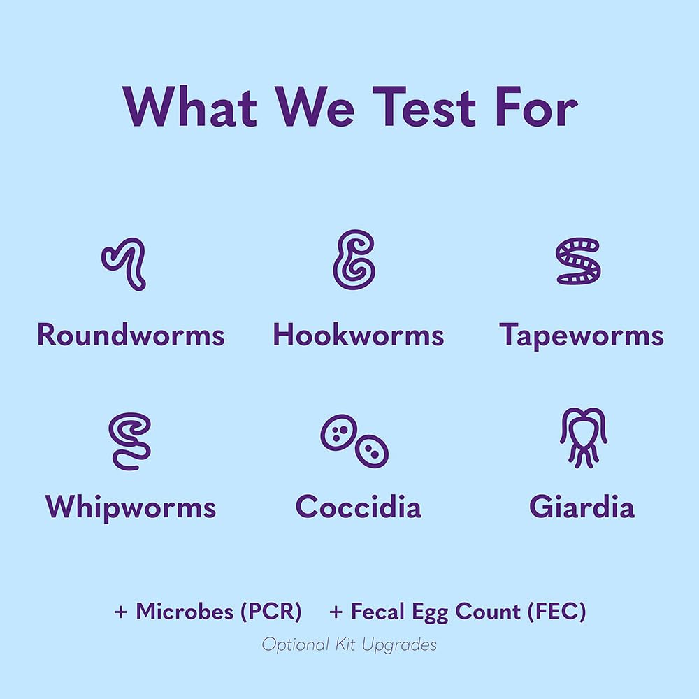 MySimplePetLab Cat Stool Test Kit | Fast and Accurate Cat Worms and Giardia Test | Mail-in Stool Sample Kit for Early Detection of Cat Worms and Giardia