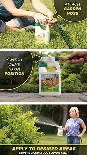 CedarStop 32 Ounce Essential Oil Yard Spray - Plant Based Flea, Tick And Mosquito Repellent Pest Control Spray Treatment And Insect Killer - Safe Around Kids, Pets, And Plants - 2 Pack