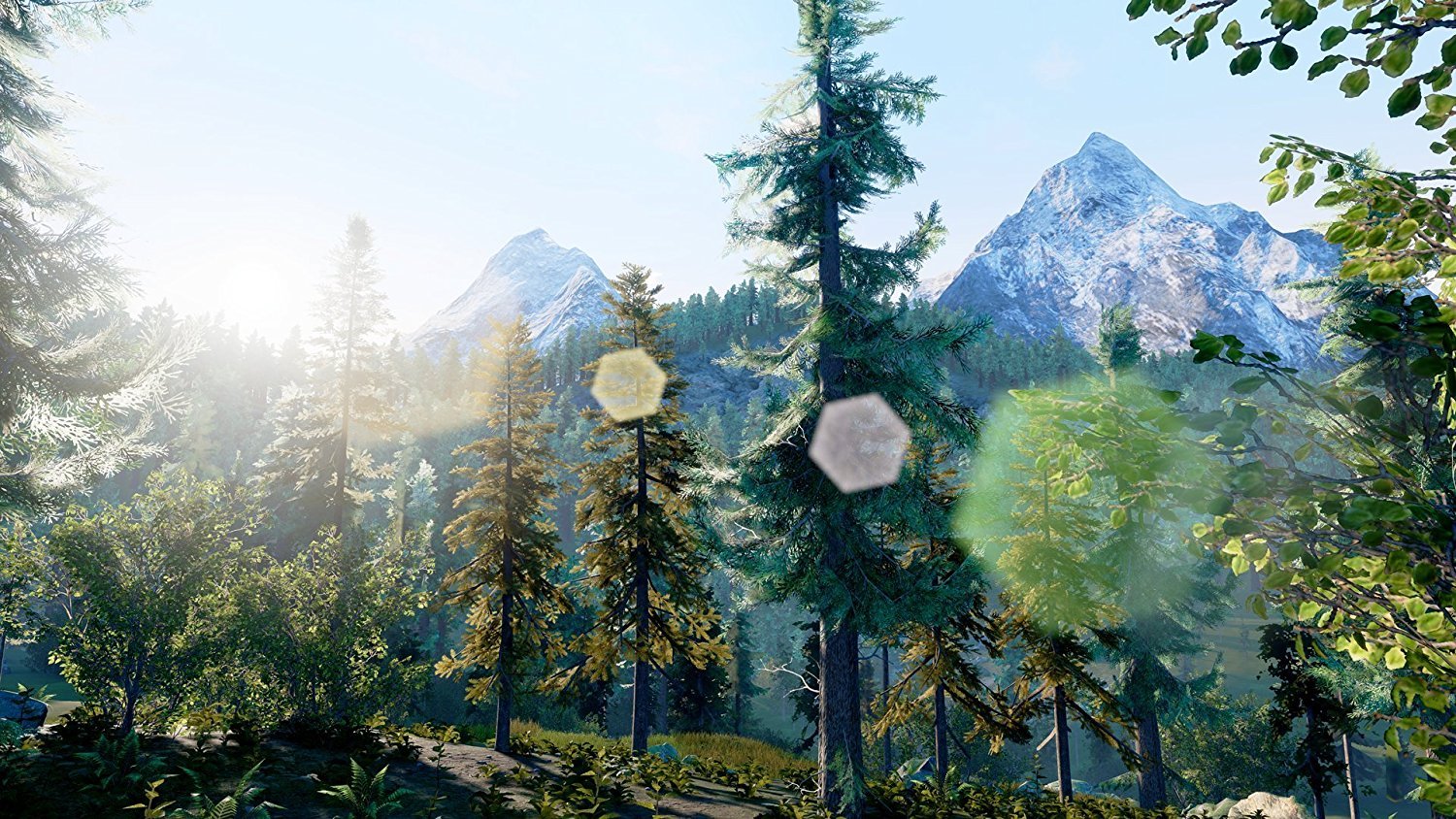 Hunting Simulator (XB1)