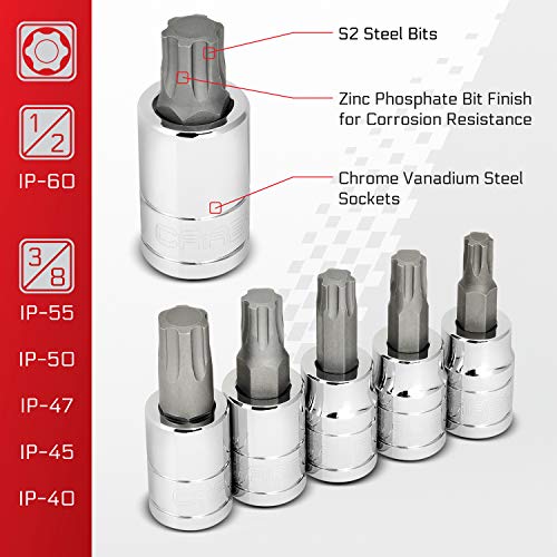 CARBYNE Torx Plus (aka 6 Lobe) Bit Socket Set - 13 Piece, TP-8/IP-8 to TP-60/IP-60, S2 Steel Bits, CRV Sockets | 1/4-inch, 3/8-inch & 1/2-inch Drive