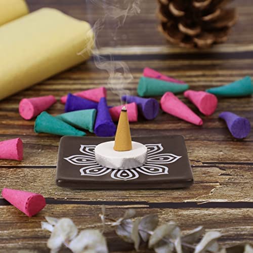 Incense Cones 120 Pcs, with Incense Holder, Mixed Natural Scents Deco Sandalwood Lavender Rose Sage Cinnamon Eucalyptus Rainforest Violet, 8 Assorted Boxes